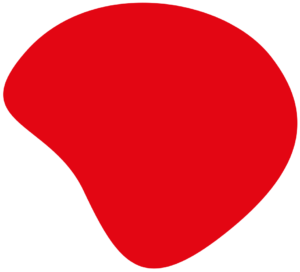 Easy Accounting Software | Features | Big Red Cloud